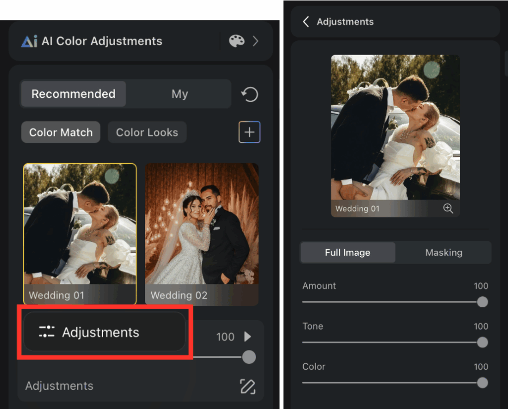 Evoto for iPad – Color Adjustments Module – EVOTO SUPPORT