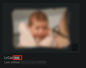 Import & Export – EVOTO SUPPORT