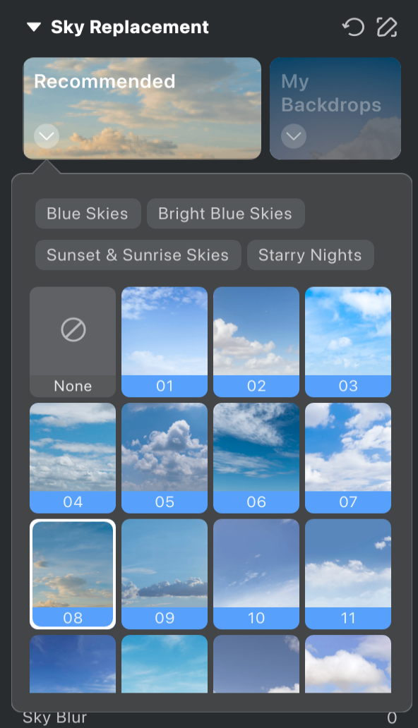 Background Adjustments Module – Sky Replacement – EVOTO SUPPORT
