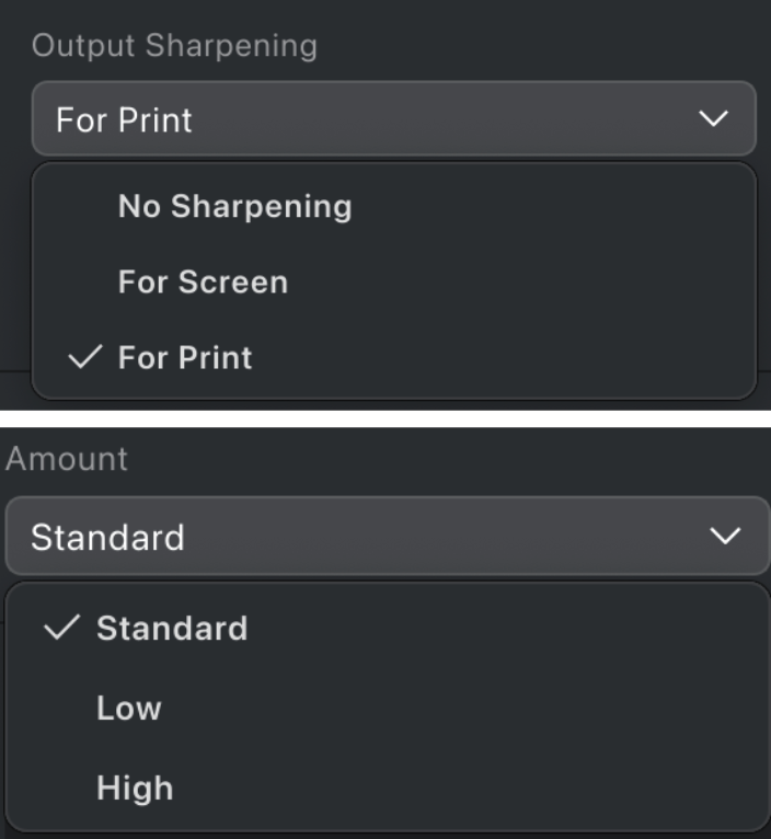 Import & Export – EVOTO SUPPORT