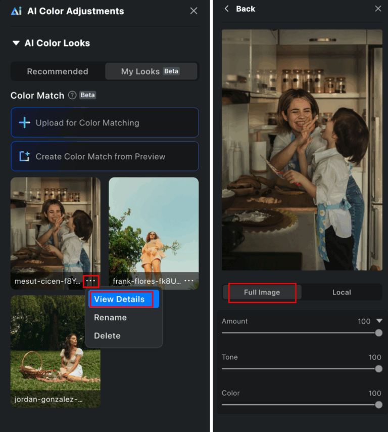 How to Improve Your Workflow with AI Color Match – EVOTO SUPPORT