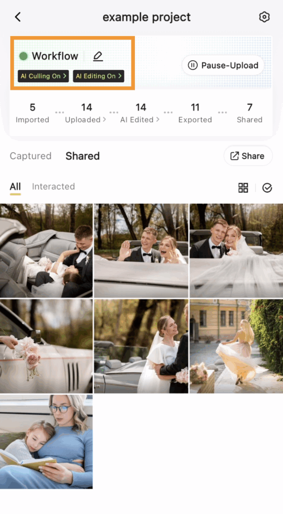 AI Culling in Evoto Instant – EVOTO SUPPORT
